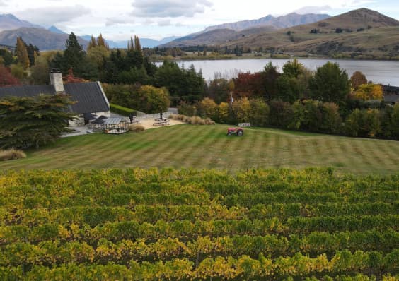 Queenstown Winery Tours: Chard Farm